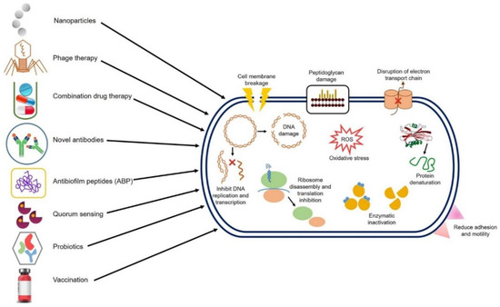 Pulling the Brakes on Fast and Furious Multiple Drug-Resistant (MDR ...