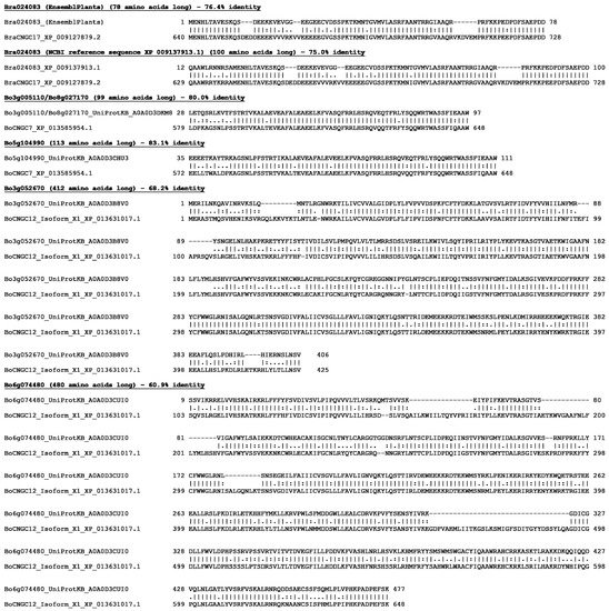 The Complex Story of Plant Cyclic Nucleotide-Gated Channels