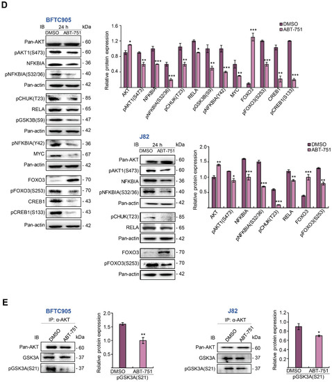 ABT-751 Induces Multiple Anticancer Effects in Urinary Bladder ...