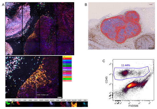In-Depth Immune-Oncology Studies of the Tumor Microenvironment in a ...