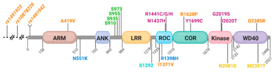 Genetic and Environmental Factors Influence the Pleomorphy of LRRK2 ...