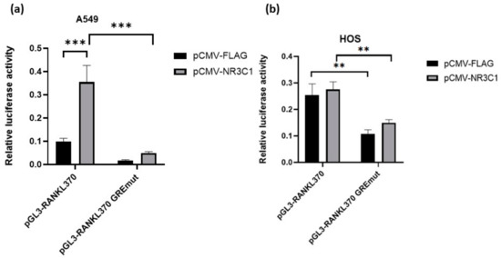 Glucocorticoid Receptor Regulates TNFSF11 Transcription by Binding to ...
