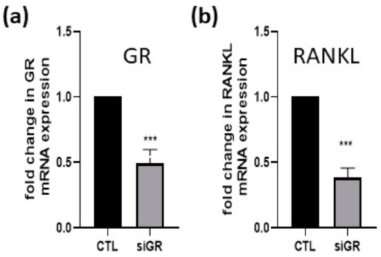 Glucocorticoid Receptor Regulates TNFSF11 Transcription by Binding to ...