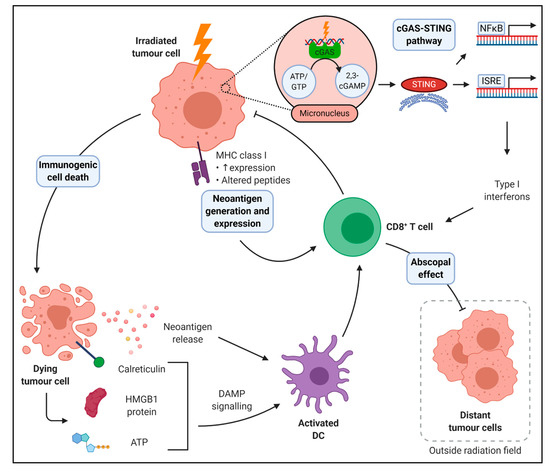 Radiation and Immunotherapy in Upper Gastrointestinal Cancers: The ...