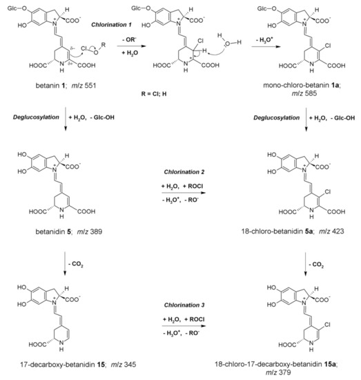 The Responses of Bioactive Betanin Pigment and Its Derivatives from a ...