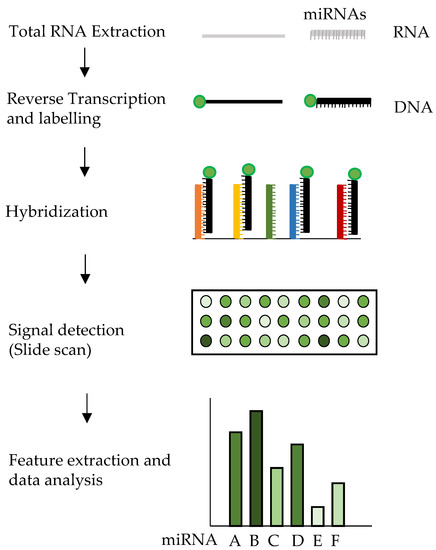 Measurements Methods for the Development of MicroRNA-Based Tests for ...