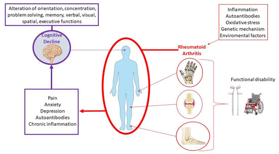Cognitive Decline in Rheumatoid Arthritis: Insight into the Molecular Pathogenetic Mechanisms