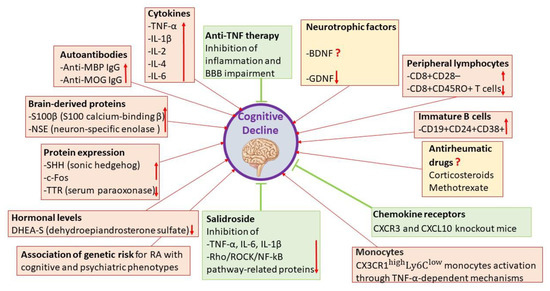 Cognitive Decline in Rheumatoid Arthritis: Insight into the Molecular Pathogenetic Mechanisms