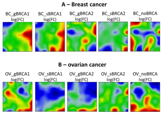 Transcriptome Patterns of BRCA1- and BRCA2- Mutated Breast and Ovarian ...