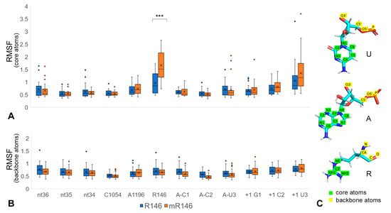Arginine Methylation Regulates Ribosome CAR Function