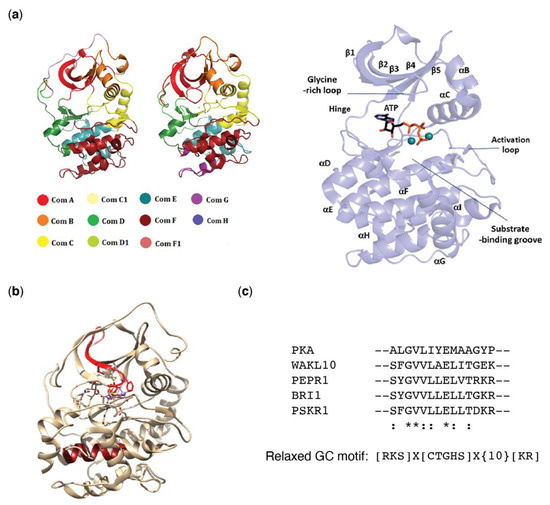 Moonlighting Proteins Shine New Light on Molecular Signaling Niches