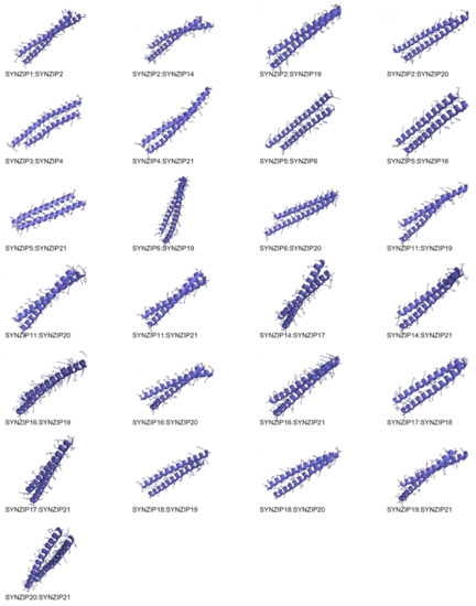 Prediction of Protein–Protein Binding Interactions in Dimeric Coiled ...
