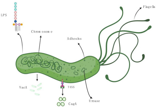 MicroRNA Modulation of Host Immune Response and Inflammation Triggered ...