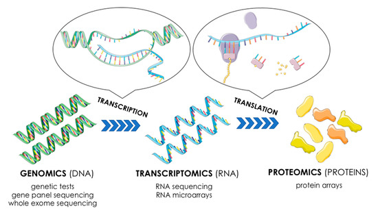 Current Achievements and Applications of Transcriptomics in ...