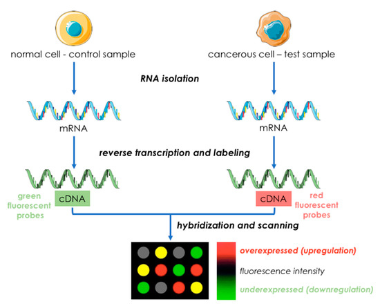 Current Achievements and Applications of Transcriptomics in ...
