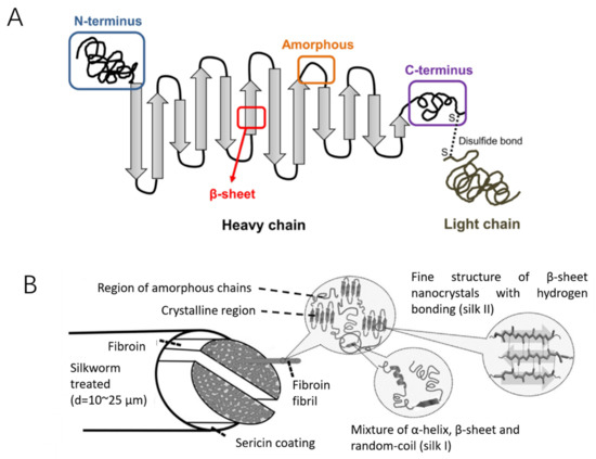 IJMS | Free Full-Text | Silk Fibroin as a Functional Biomaterial for ...