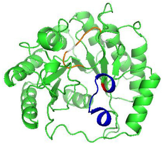 Characterization and Reconstitution of Human Lipoyl Synthase (LIAS ...