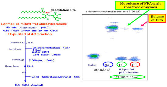 Cutting Edge of the Pathogenesis of Atopic Dermatitis: Sphingomyelin ...