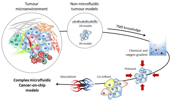 Multicellular 3D Models to Study Tumour-Stroma Interactions