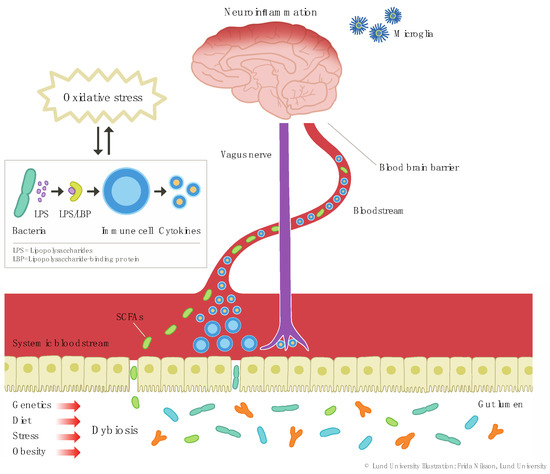 Inflammatory Depression—Mechanisms and Non-Pharmacological Interventions