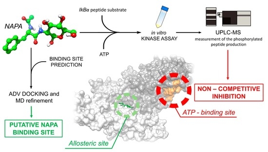 IJMS | Special Issue : Protein–Ligand Interactions: Deciphering the ...