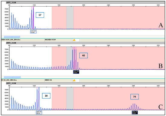 A Novel Triplet-Primed PCR Assay to Detect the Full Range of ...