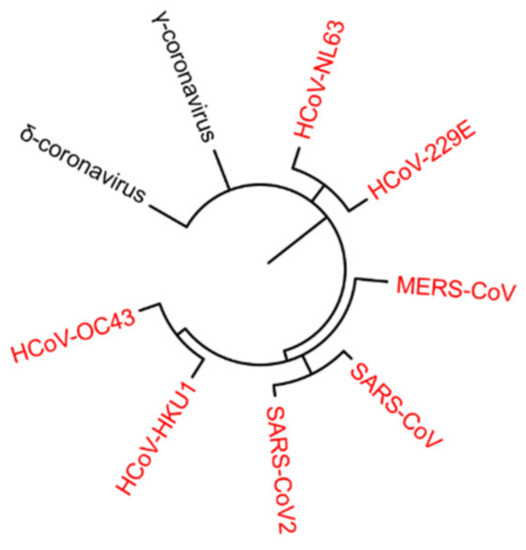 ERAP1 and ERAP2 Enzymes: A Protective Shield for RAS against COVID-19?