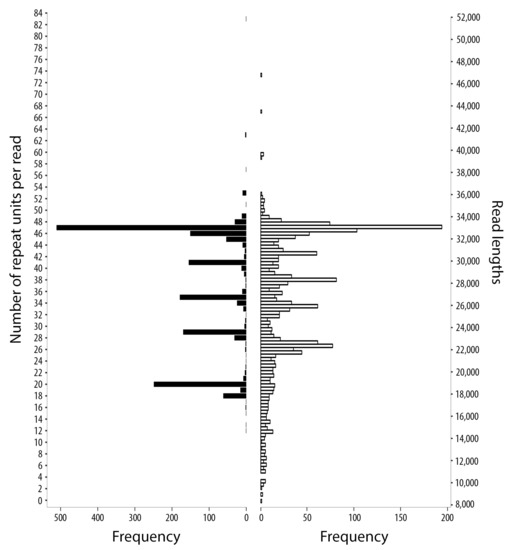 Nanopore Sequencing Resolves Elusive Long Tandem-Repeat Regions in ...