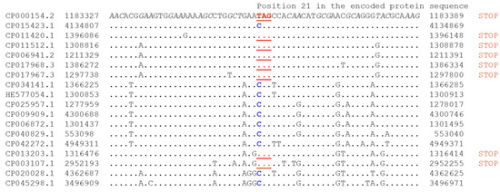 Analysis of Stop Codons within Prokaryotic Protein-Coding Genes ...