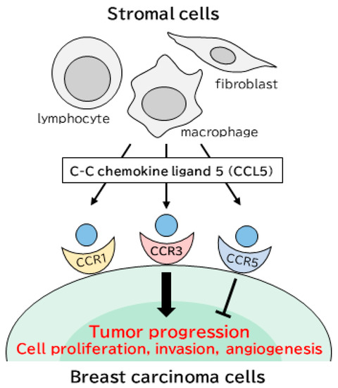Stromal CCL5 Promotes Breast Cancer Progression by Interacting with ...