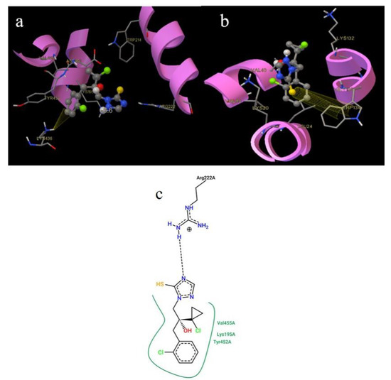 IJMS | Free Full-Text | Interaction of Conazole Pesticides ...