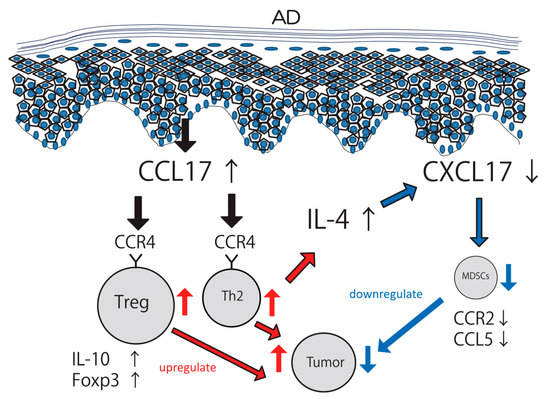 IJMS | Free Full-Text | Increased Regulatory T Cells and Decreased ...
