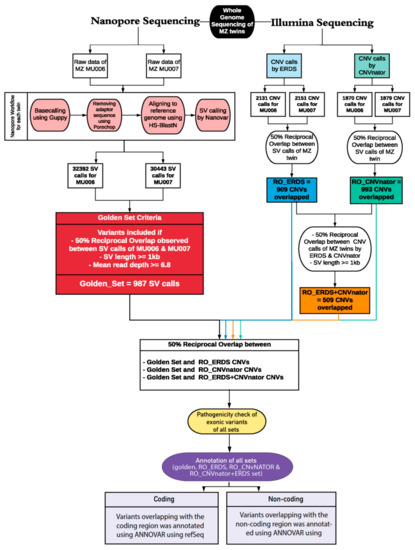 Long-Read Sequencing Improves the Detection of Structural Variations Impacting Complex Non ...