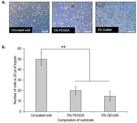 Investigating PEGDA and GelMA Microgel Models for Sustained 3D ...
