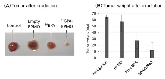Construction of Boronophenylalanine-Loaded Biodegradable Periodic ...