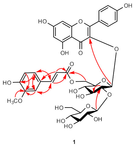 IJMS | Free Full-Text | Phytochemicals in Chinese Chive (Allium ...