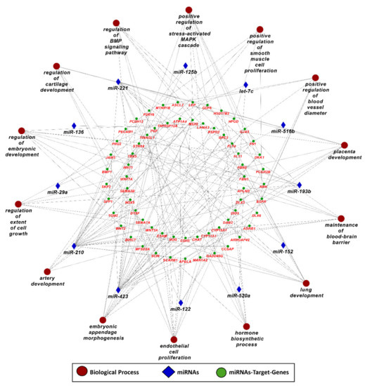 MicroRNA–mRNA Networks in Pregnancy Complications: A Comprehensive Downstream Analysis of ...