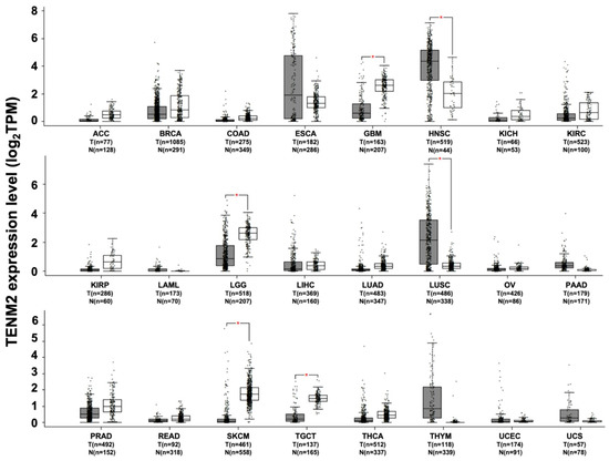 Teneurins: Role in Cancer and Potential Role as Diagnostic Biomarkers ...