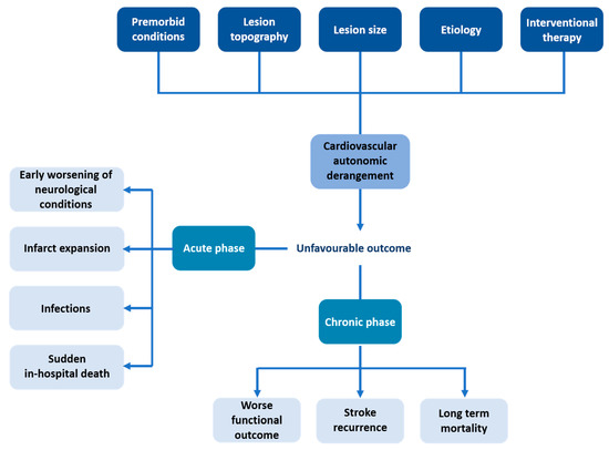 Targeting the Autonomic Nervous System for Risk Stratification, Outcome ...