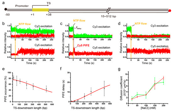 Hopping and Flipping of RNA Polymerase on DNA during Recycling for ...