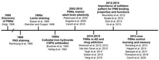 An Extracellular Perspective on CNS Maturation: Perineuronal Nets and ...
