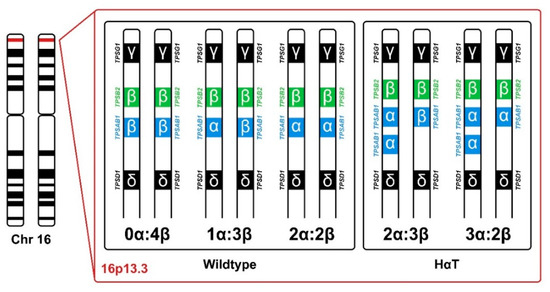 Genetic Regulation of Tryptase Production and Clinical Impact ...