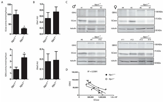 GCase and LIMP2 Abnormalities in the Liver of Niemann Pick Type C Mice