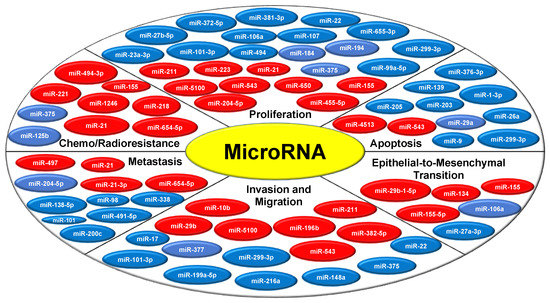 MicroRNAs as Modulators of Oral Tumorigenesis—A Focused Review