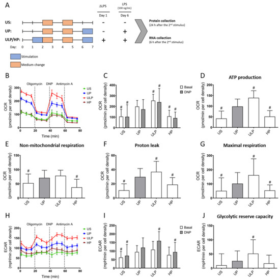 The Role of the Pathogen Dose and PI3Kγ in Immunometabolic ...
