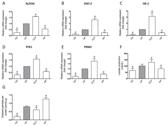 The Role of the Pathogen Dose and PI3Kγ in Immunometabolic ...