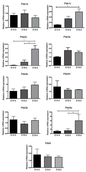 Phosphodiesterases Expression during Murine Cardiac Development