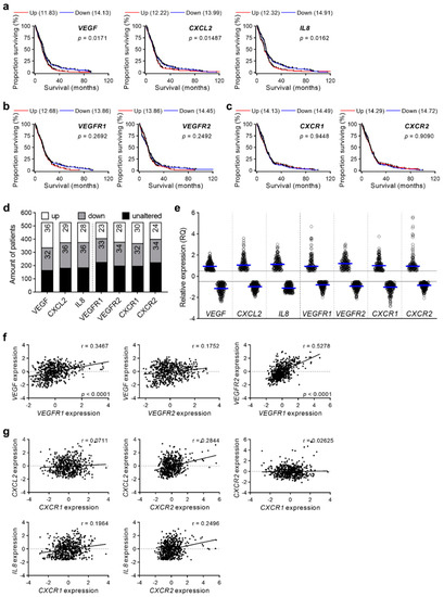 The CXCL2/IL8/CXCR2 Pathway Is Relevant for Brain Tumor Malignancy and ...
