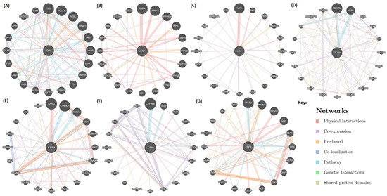 Bioinformatic Analysis of Structure and Function of LIM Domains of ...