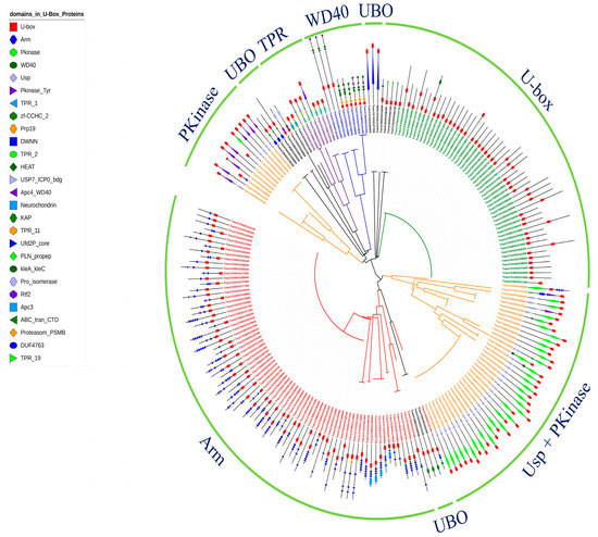 Genome Wide Analysis of U-Box E3 Ubiquitin Ligases in Wheat (Triticum ...
